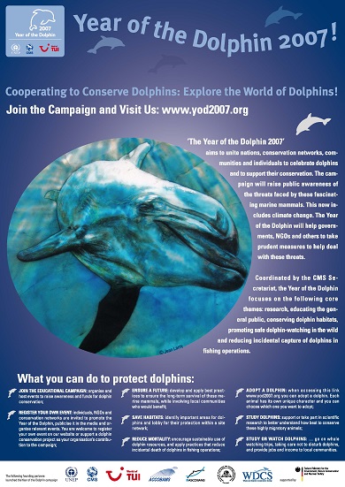 Year of the Dolphin Poster | ASCOBANS